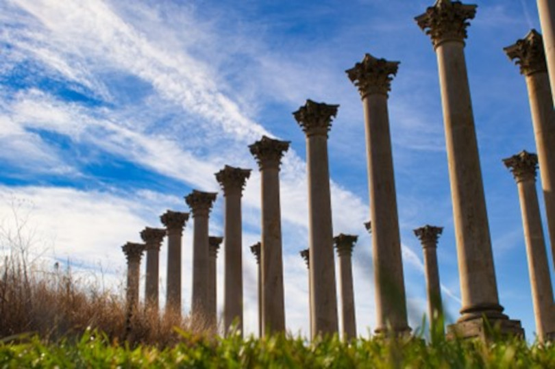 How to Enjoy Summertime in DC - The DC Voice